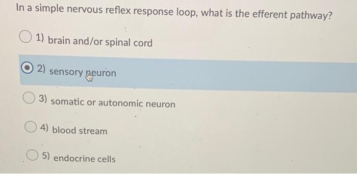 Solved In a simple nervous reflex response loop, what is the | Chegg.com