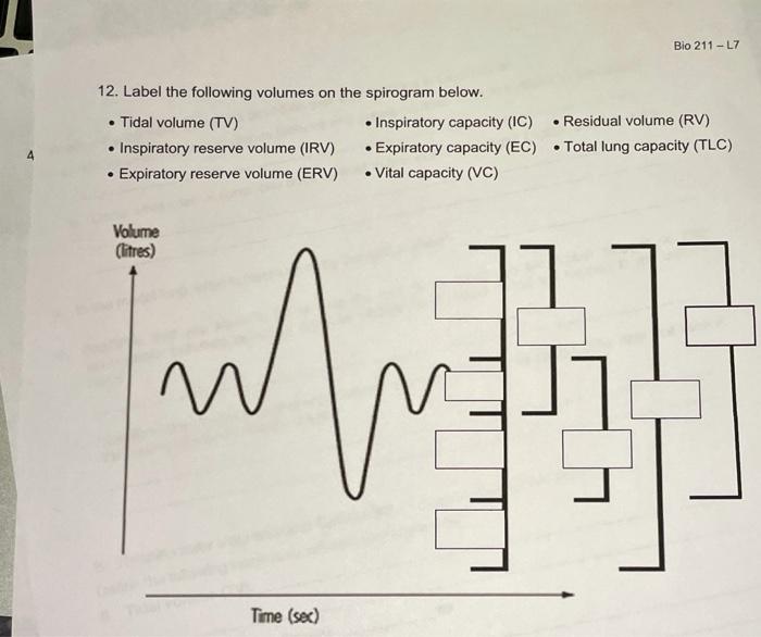 Solved Bio 211 - L7 12. Label the following volumes on the | Chegg.com