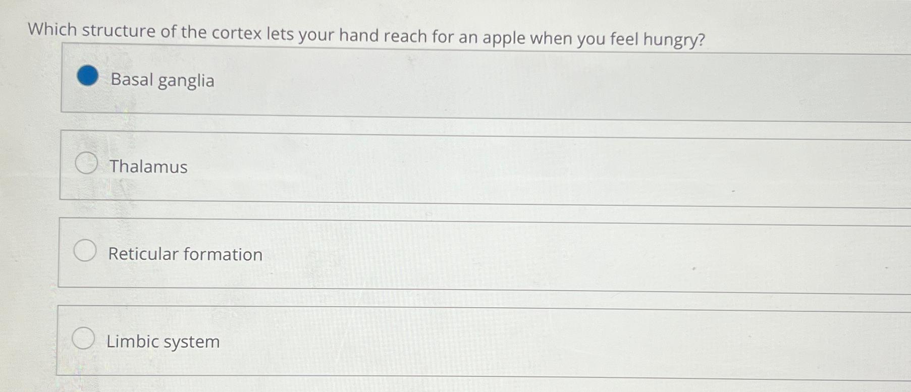 Solved Which structure of the cortex lets your hand reach | Chegg.com