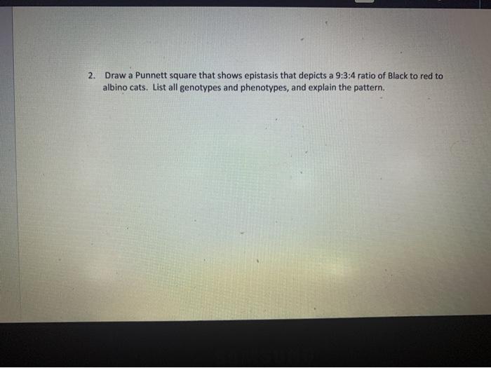 Solved 2 Draw A Punnett Square That Shows Epistasis That