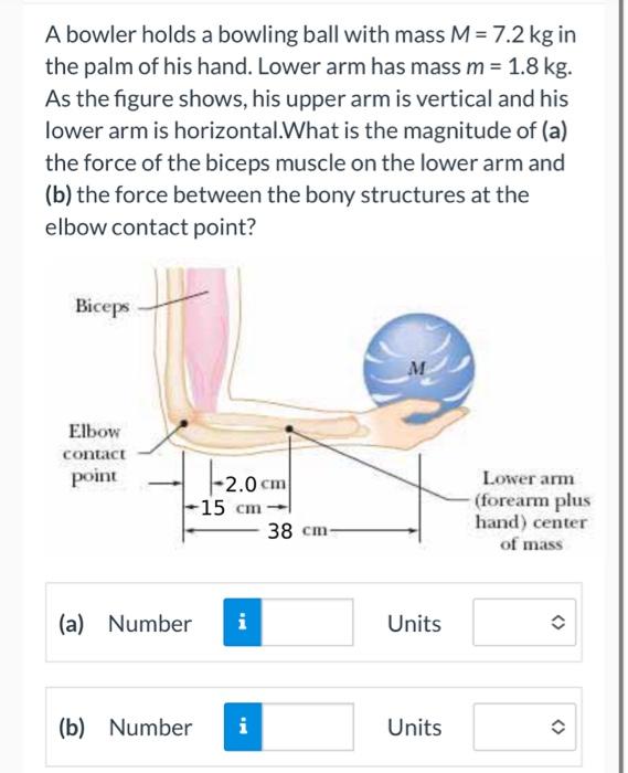 A bowler holds a bowling ball with mass M=7.2 kg in | Chegg.com