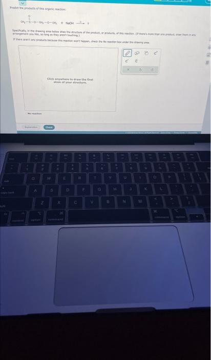 Solved ationan + ,Predict the produts of this orgsnic | Chegg.com