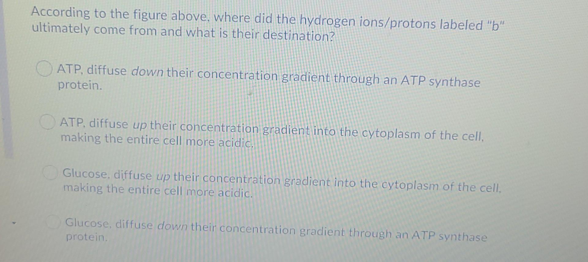Solved a b H H H Cyto TIL IV AL 2e- FADH2 g. C FAD 2H + | Chegg.com