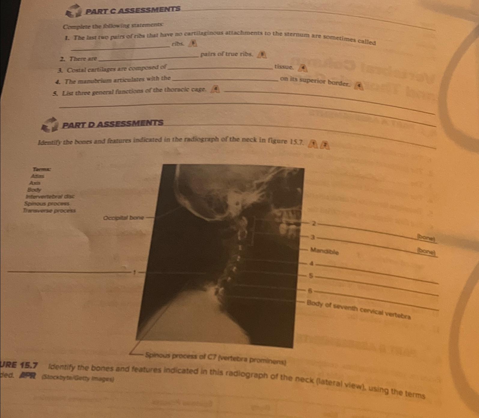 Solved PART C ASSESSMENTSComplese the following | Chegg.com