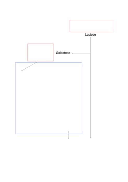 Solved Lab 4: Pathway Building-Glycolysis Theory based lab | Chegg.com