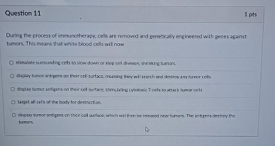 Solved Question 111 ﻿ptsDuring the process of immunotherapy, | Chegg.com