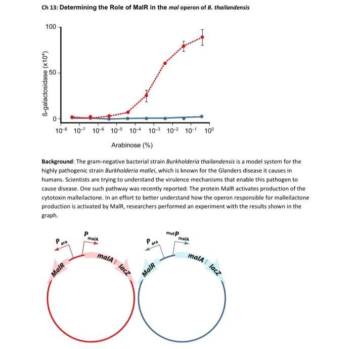Solved 2. Considering the information provided in the | Chegg.com