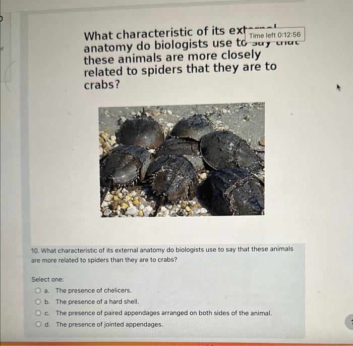 Solved To which order do these animals belong? 14. To which | Chegg.com