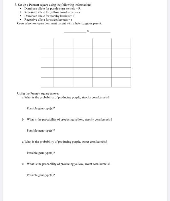 Solved 3. Set up a Punnett square using the following | Chegg.com