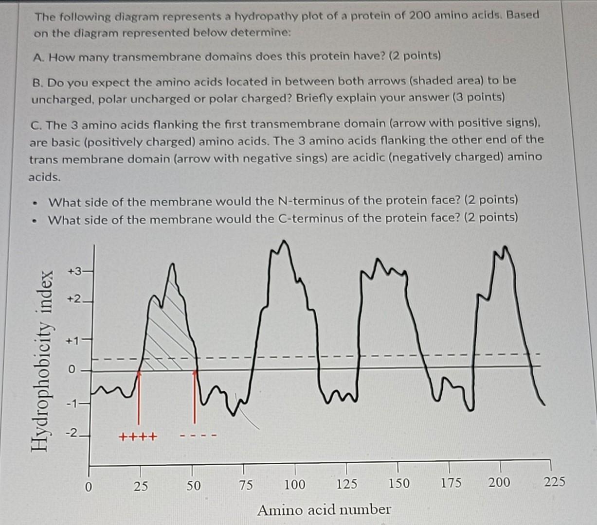 Solved The following diagram represents a hydropathy plot of | Chegg.com