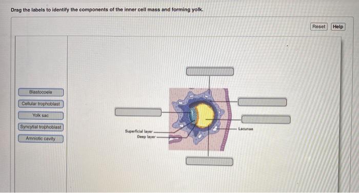 Solved Drag the labels to identify the components of the | Chegg.com