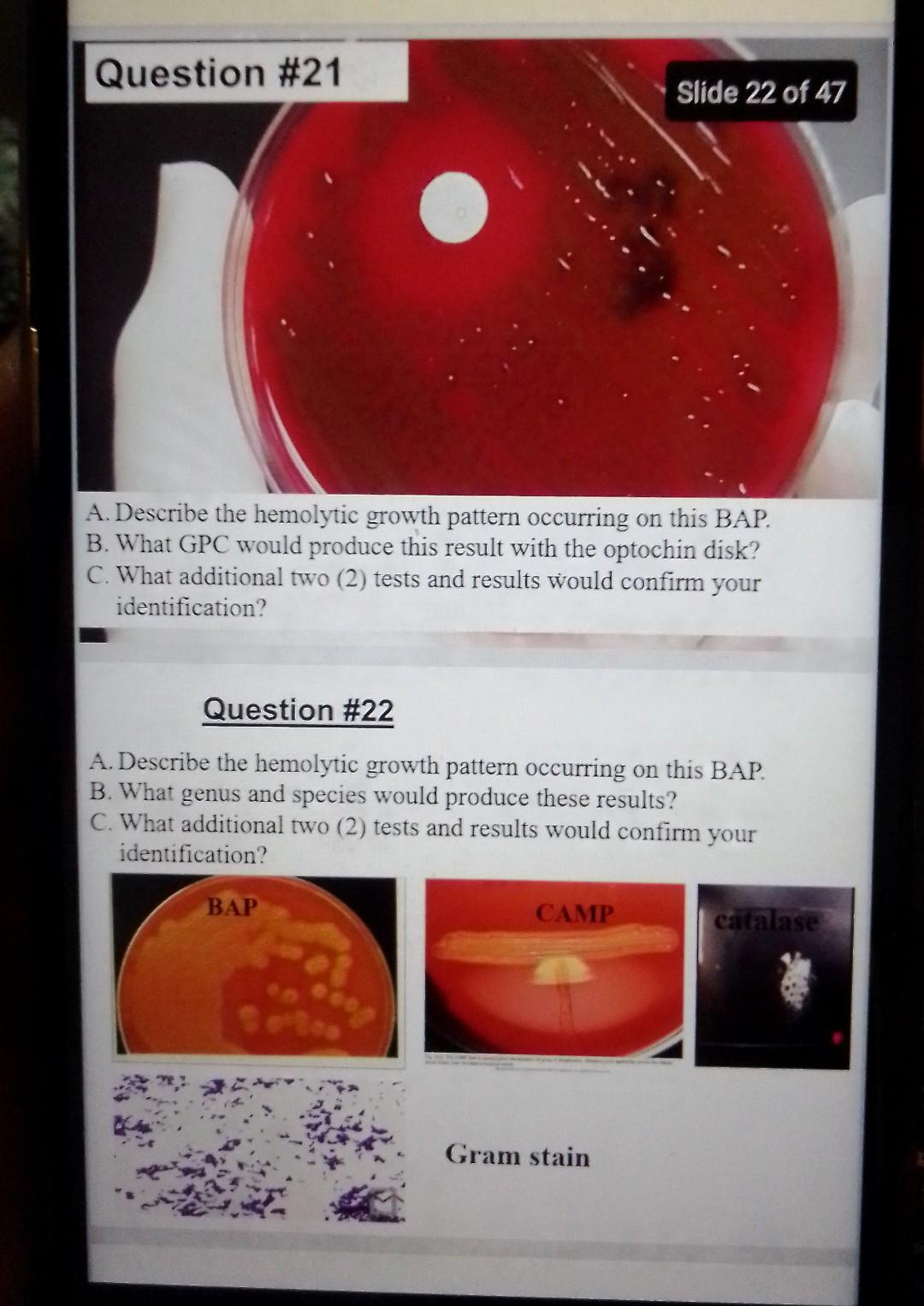 Solved Question #1 A B C D E Nitrate reagent A & B has been | Chegg.com