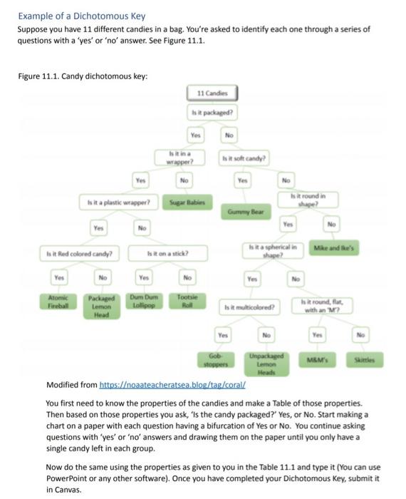 Solved I need help creating a dichotomous key, please with | Chegg.com