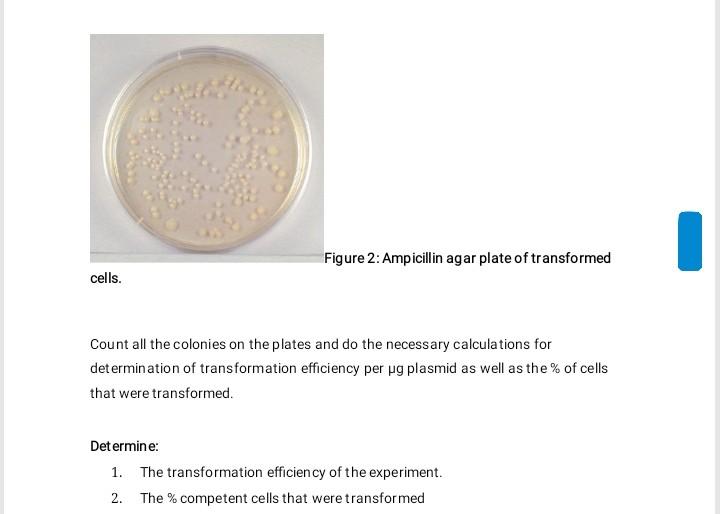 Solved cells. Count all the colonies on the plates and do | Chegg.com