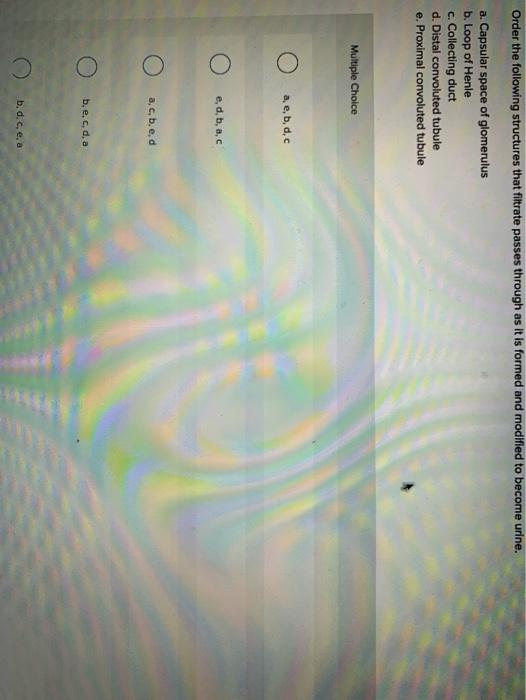 Solved Order the following structures that filtrate passes | Chegg.com
