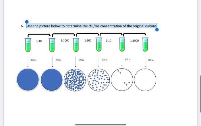 Solved Use the picture below to determine the cfu/mL | Chegg.com