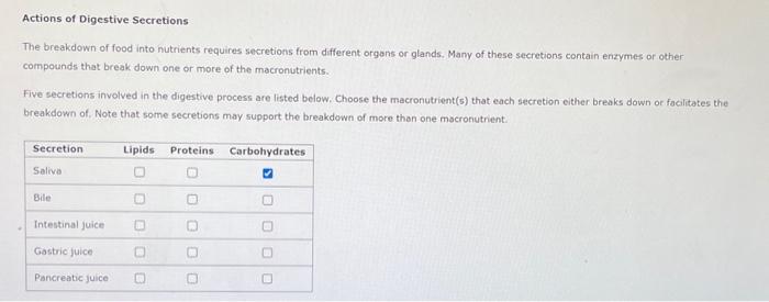 Solved Actions of Digestive Secretions The breakdown of food | Chegg.com