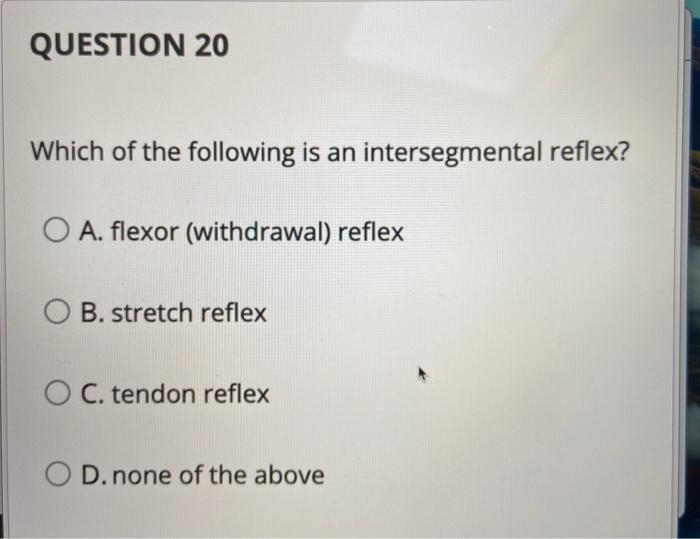 Solved QUESTION 20 Which of the following is an | Chegg.com
