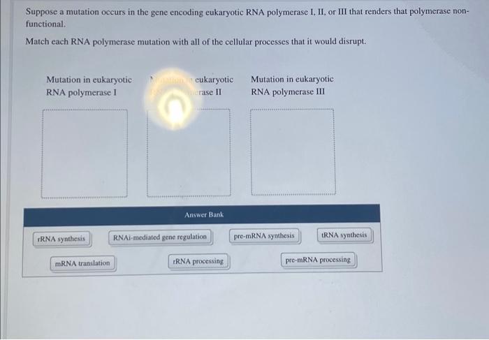 Solved Suppose a mutation occurs in the gene encoding | Chegg.com