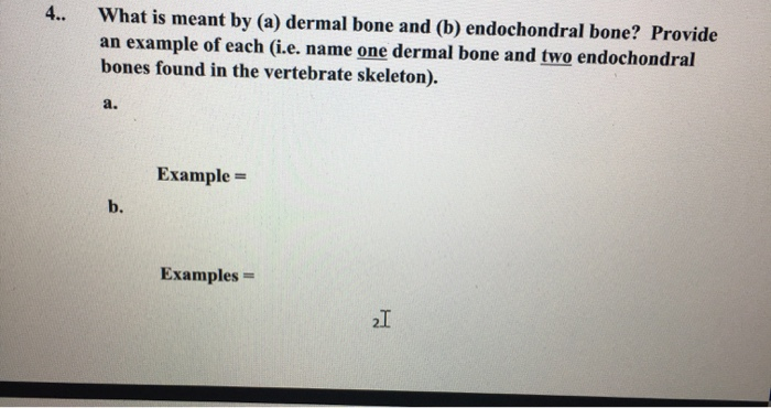 Solved 4.. What is meant by (a) dermal bone and (b) | Chegg.com