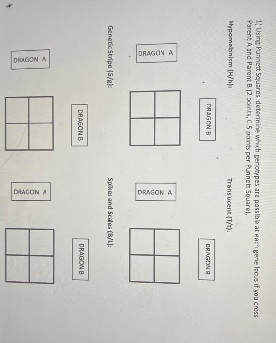 Solved 1) Using Punnett Squares, determine which genotypes | Chegg.com