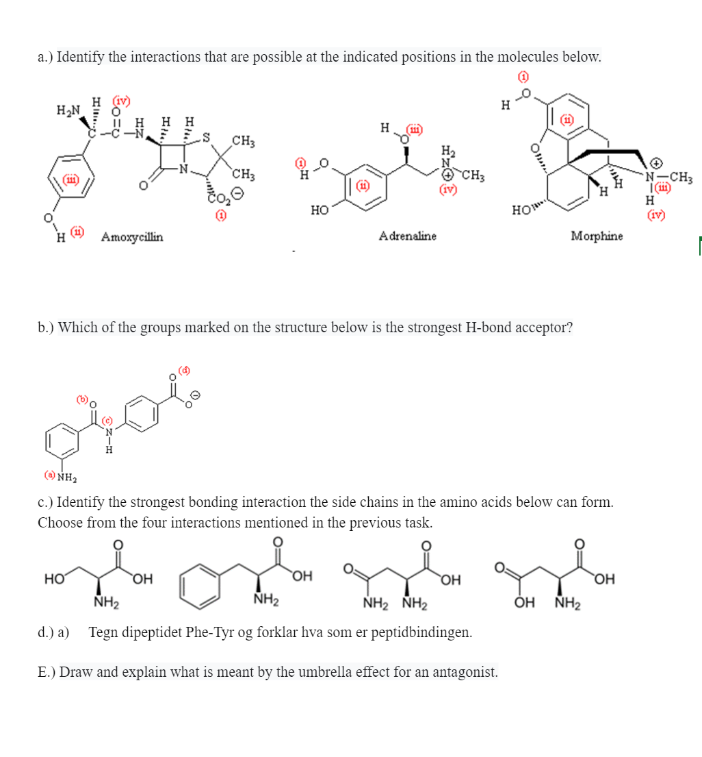 Solved a.) ﻿Identify the interactions that are possible at | Chegg.com