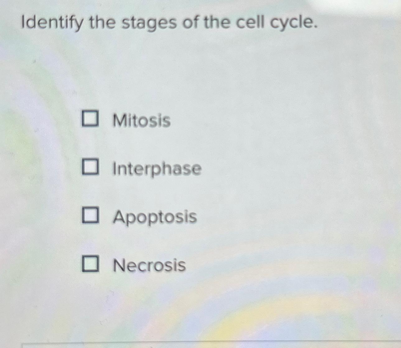 Solved Identify the stages of the cell | Chegg.com