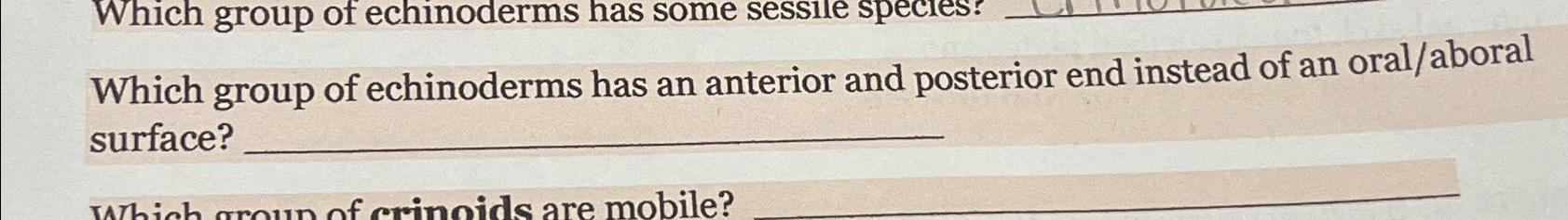 Which group of echinoderms has an anterior and | Chegg.com