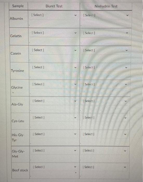 Solved Sample Biuret Test Ninhydrin Test Select ] V Select | Chegg.com