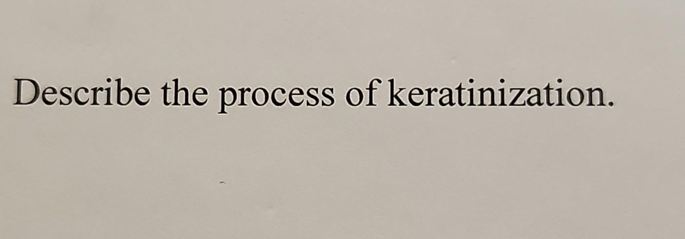 Solved Describe the process of keratinization. Describe | Chegg.com