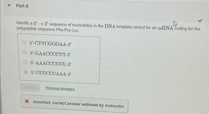 Solved Identify a 5′→3′ sequence of nucleotides in the DNA | Chegg.com