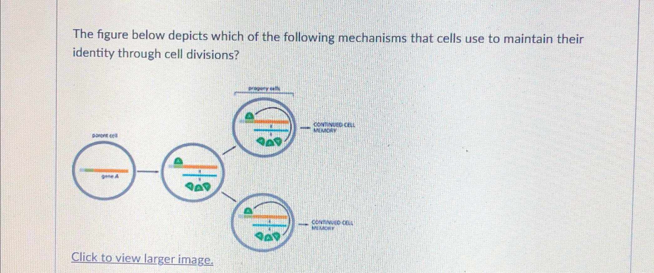 The figure below depicts which of the following | Chegg.com