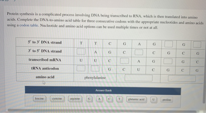 Solved Protein synthesis is a complicated process involving | Chegg.com