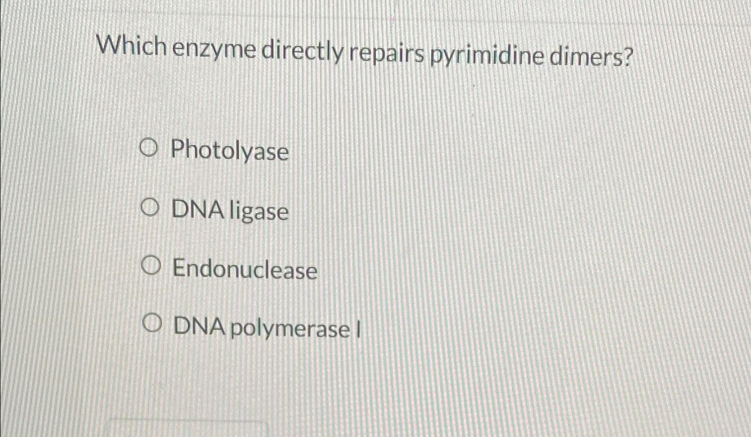 Solved Which enzyme directly repairs pyrimidine | Chegg.com
