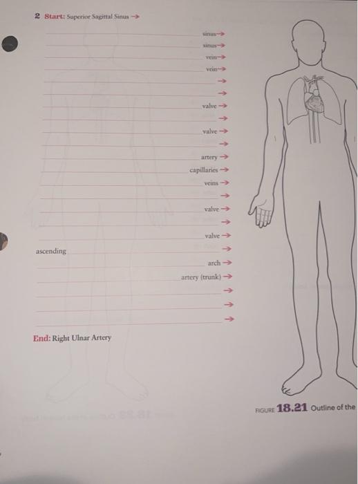 Solved Time to Trace! In this exercise, you will trace the | Chegg.com