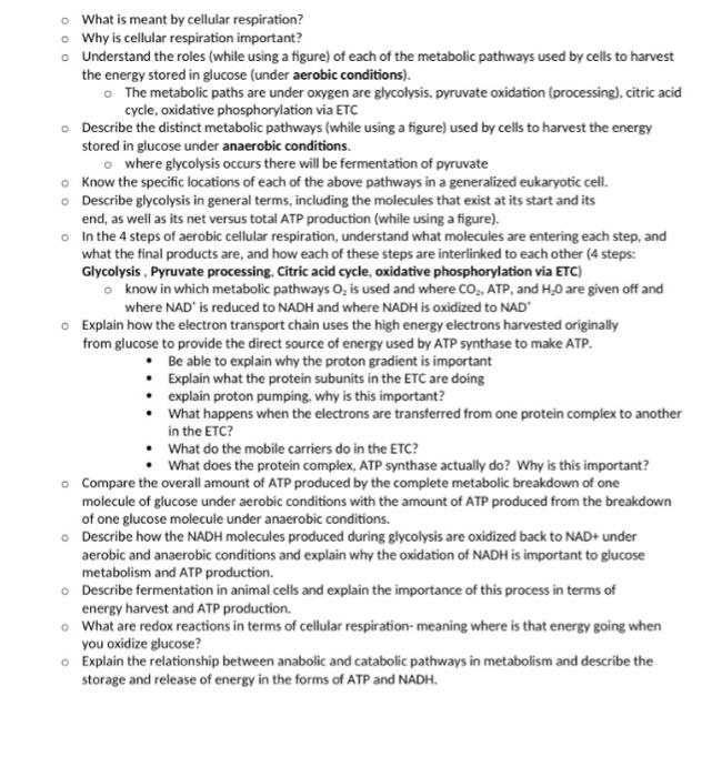 Solved What is meant by cellular respiration? Why is | Chegg.com