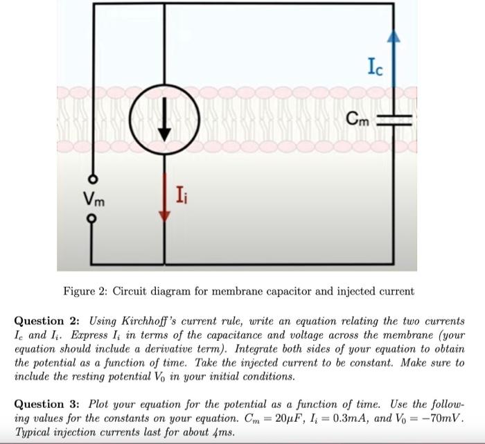 Solved Figure 2: Circuit diagram for membrane capacitor and | Chegg.com