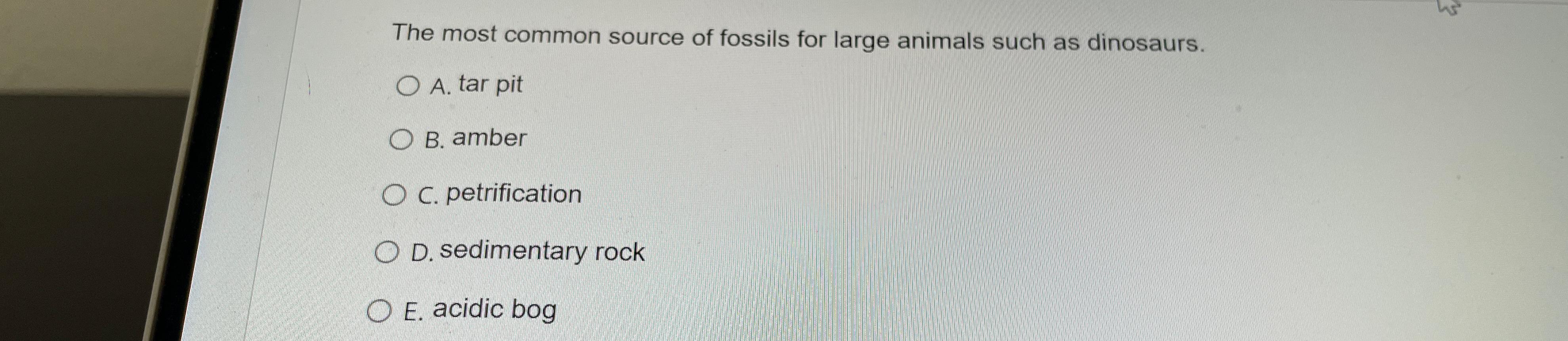 Solved The most common source of fossils for large animals | Chegg.com