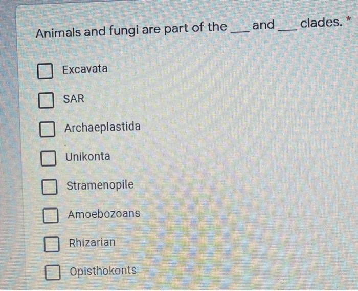 Solved clades. Animals and fungi are part of the ___ and | Chegg.com