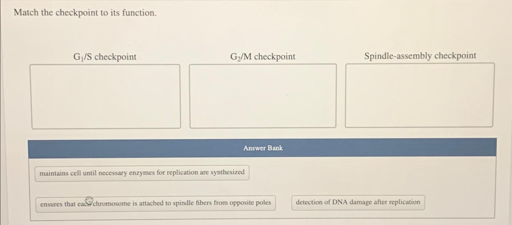 Solved Match the checkpoint to its function.G1S | Chegg.com