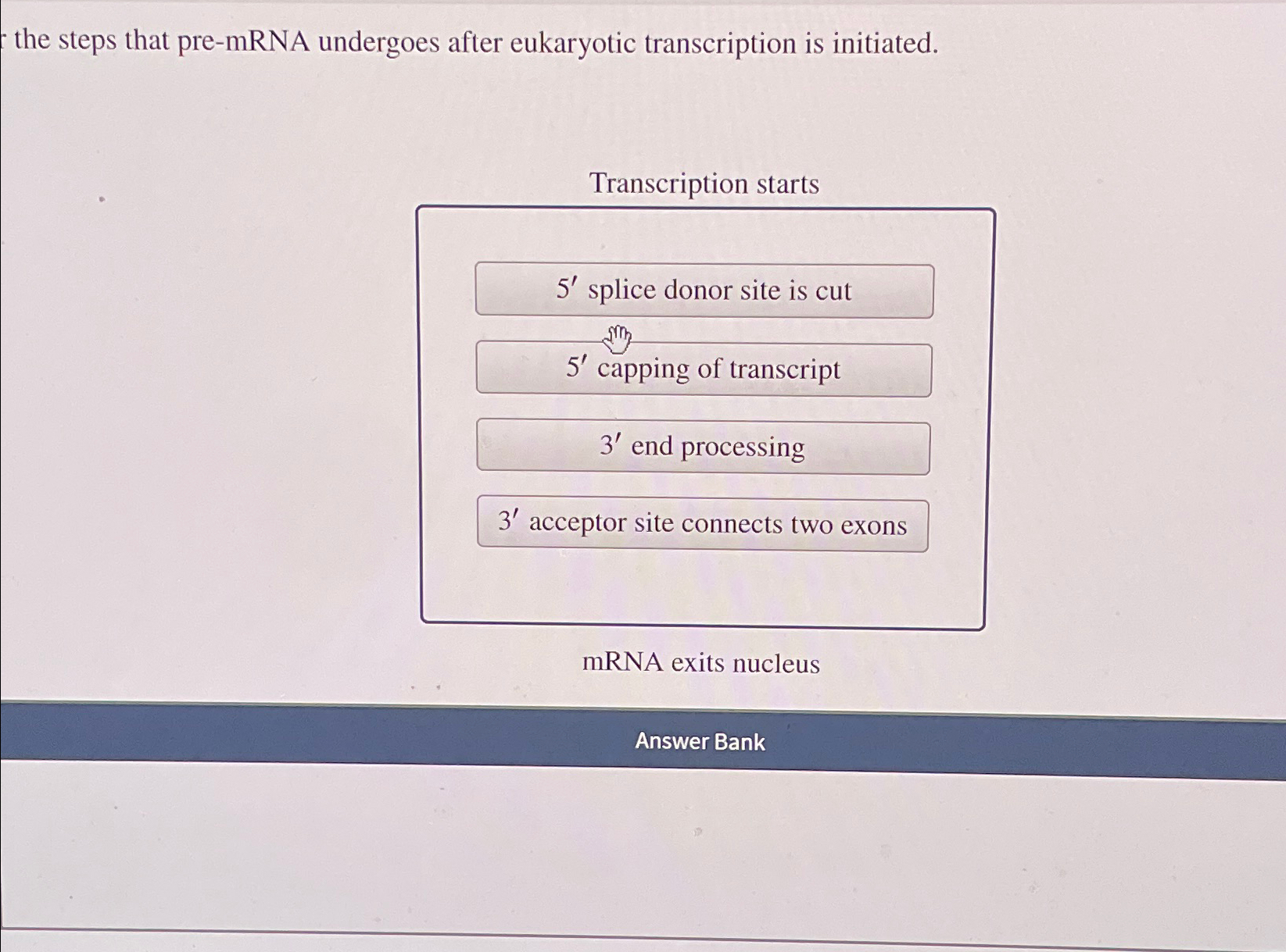 Solved the steps that pre-mRNA undergoes after eukaryotic | Chegg.com