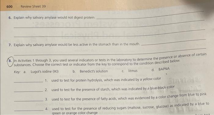 Solved 600 Review Sheet 39 6. Explain why salivary amylase | Chegg.com Solved 600 Review Sheet 39 6. Explain why salivary amylase | Chegg.com
