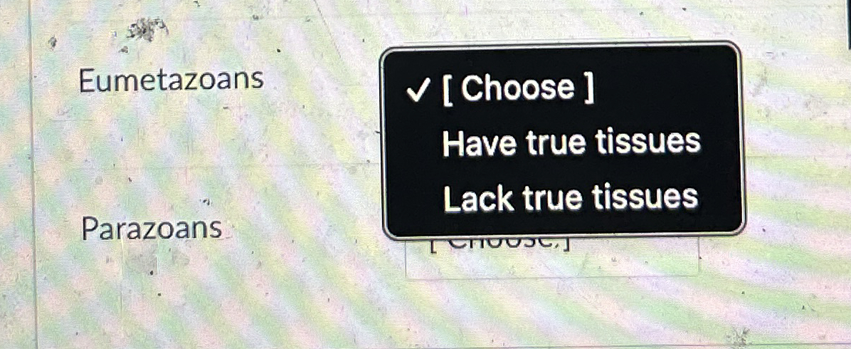Solved Eumetazoans [ ﻿Choose ] ﻿Have true tissuesParazoans | Chegg.com