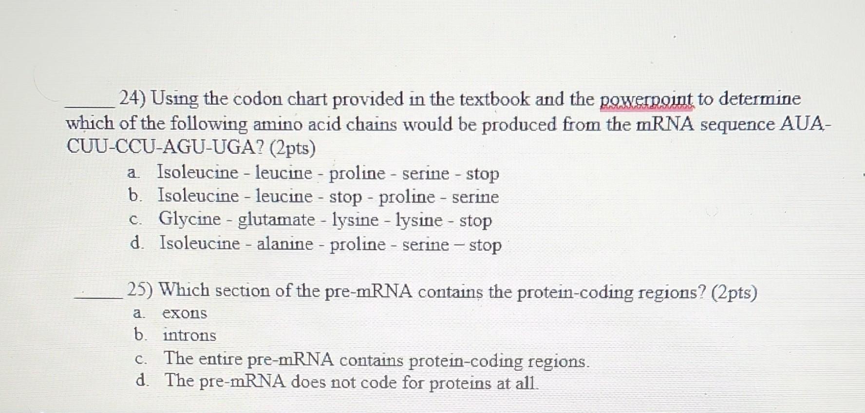 22) Transcription of a DNA molecule with a nucleotide | Chegg.com