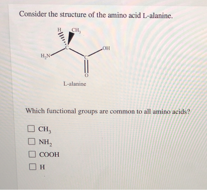 Solved Consider the structure of the amino acid L-alanine. | Chegg.com