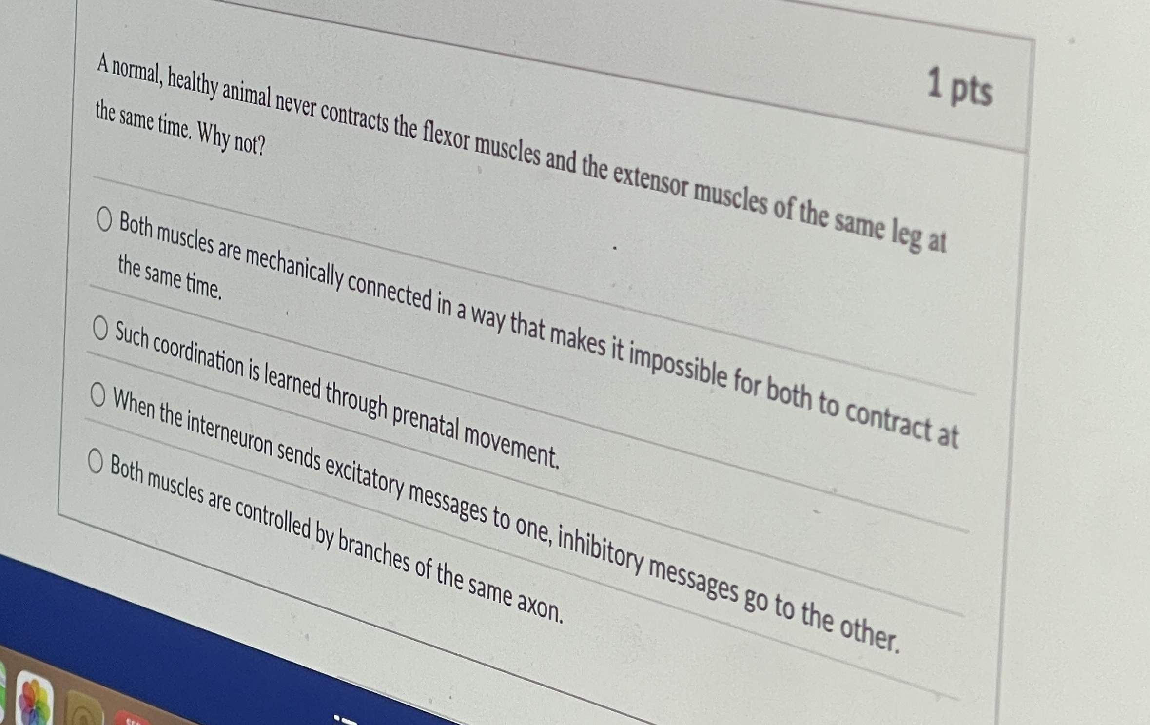 Solved A normal, healthy animal never contracts the flexor | Chegg.com