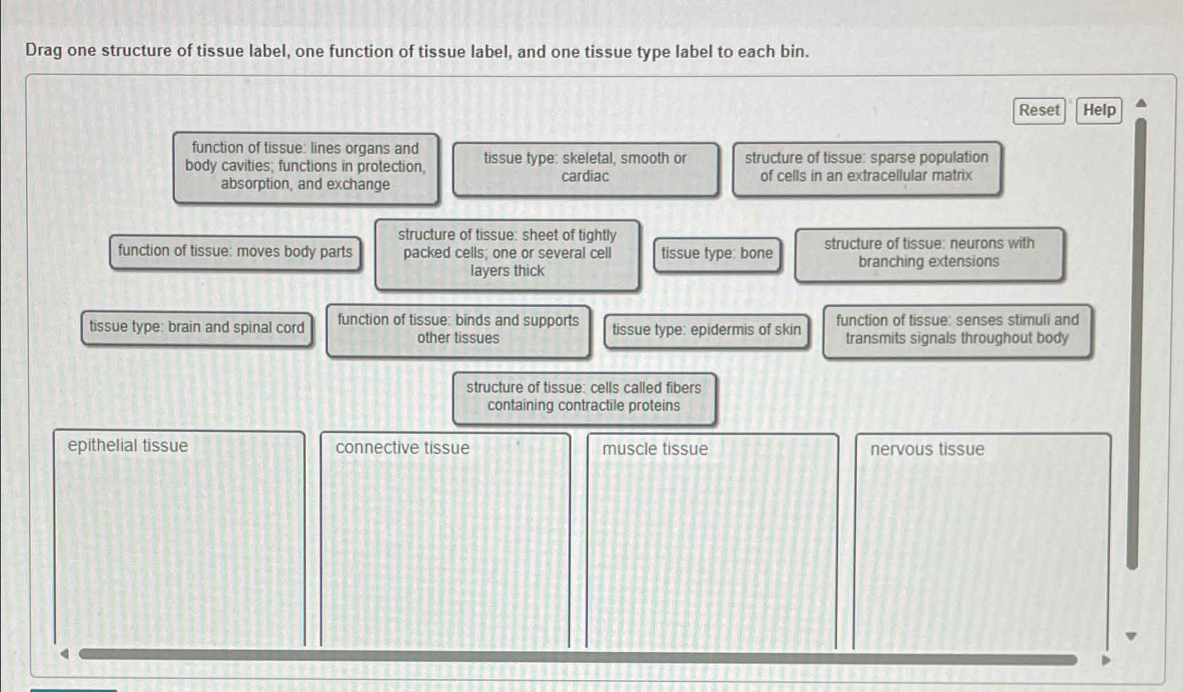 Solved Drag one structure of tissue label, one function of | Chegg.com