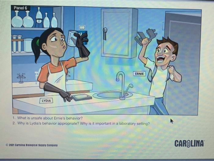 Solved Answers: Panel 1: 1. List 2 unsafe activities | Chegg.com