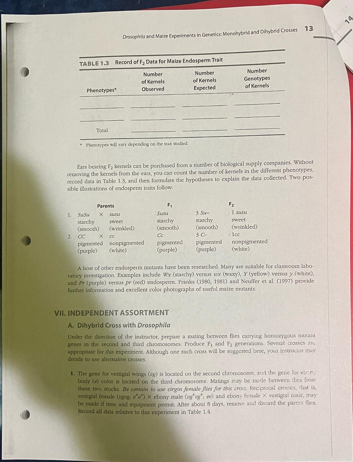 Solved Drosophila and Maize Experiments in Genetics: | Chegg.com