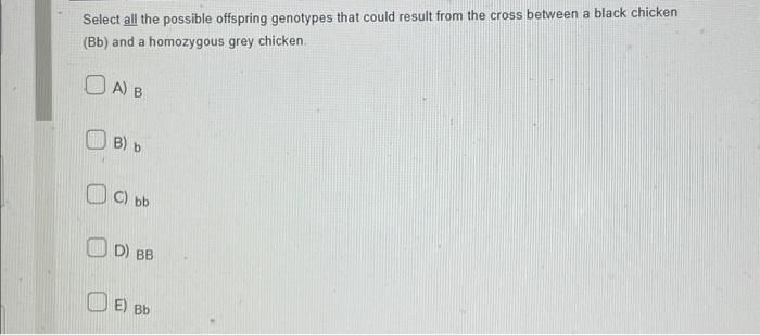 Solved Select all the possible offspring genotypes that | Chegg.com
